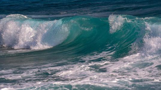 Renewable energy's role in decarbonising international shipping ...