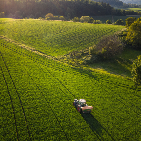 Environmental Defense Fund Europe | Environmental Defense Fund